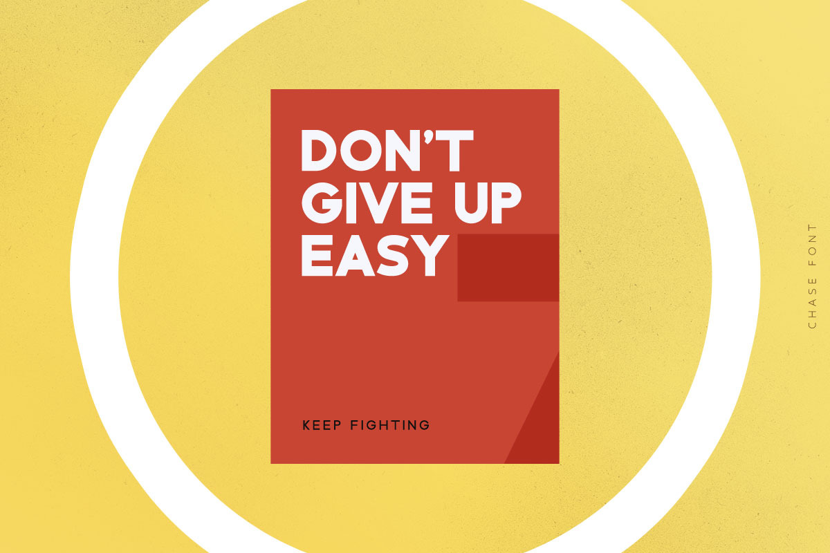 Chase Font, a Sans Serif Font by vuuuds | chase bank font, chase ...