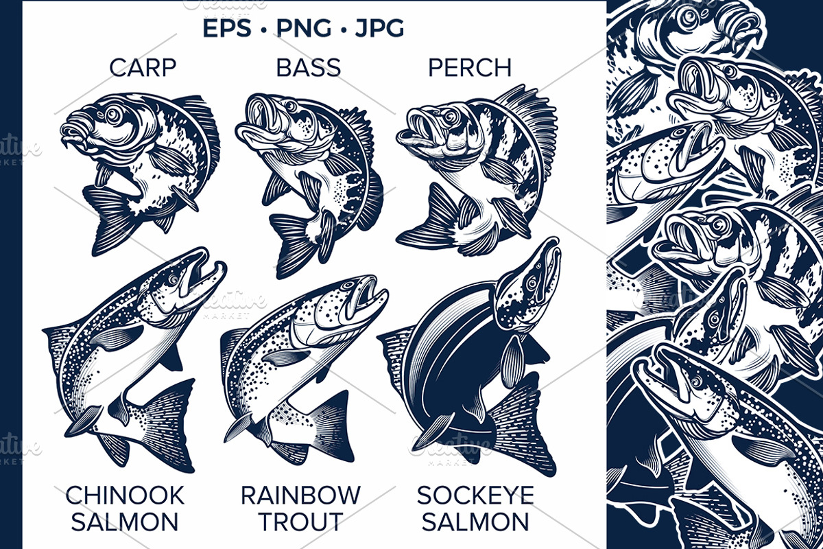 Set of Fish Emblems, an Animal Illustration by Moloko88