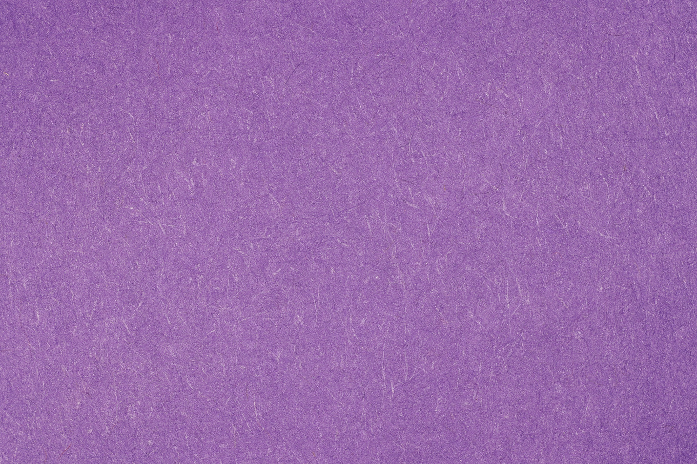 Purple Paper Background Texture, a School & Education Photo by Textures ...