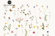 Watercolor Meadow Flowers Clipart