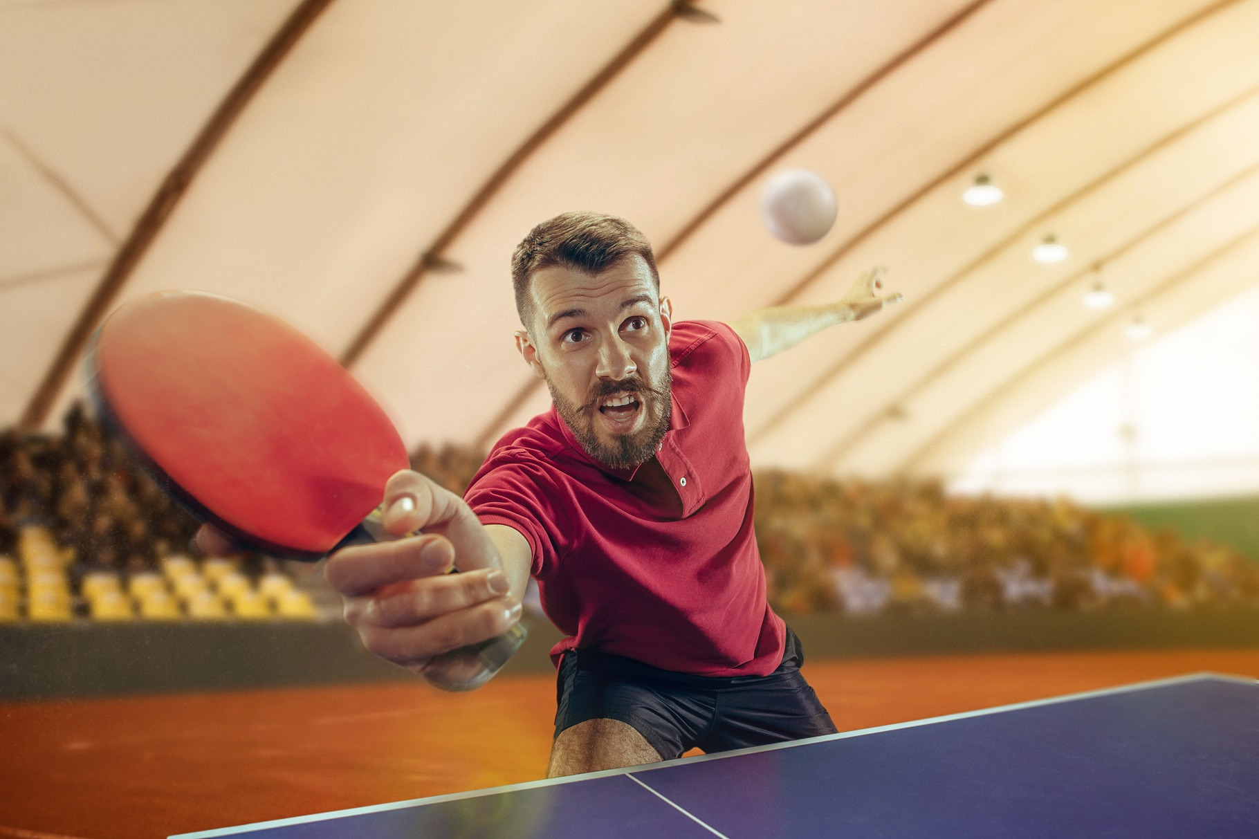The table tennis player serving containing action, activity, and ...