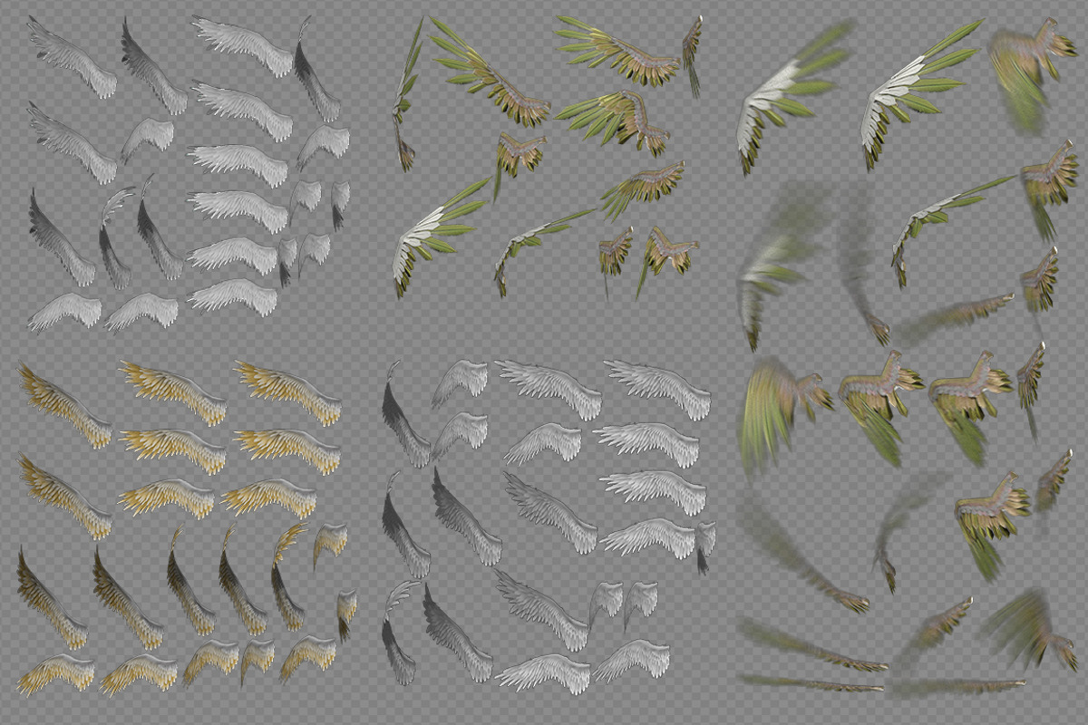 2D Animated Wings, an Object Graphic by Beatheart Creative Studio