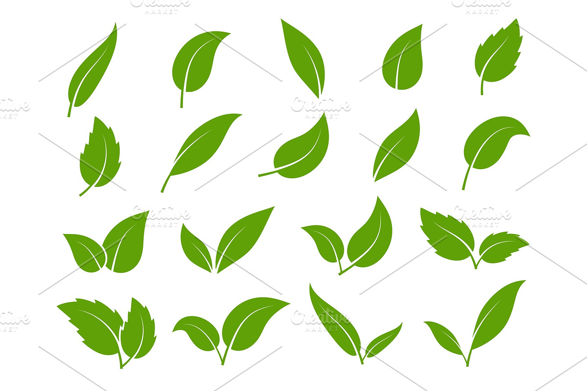 Leaf icon. Green leaves of trees and, a Food Illustration by YummyBuum