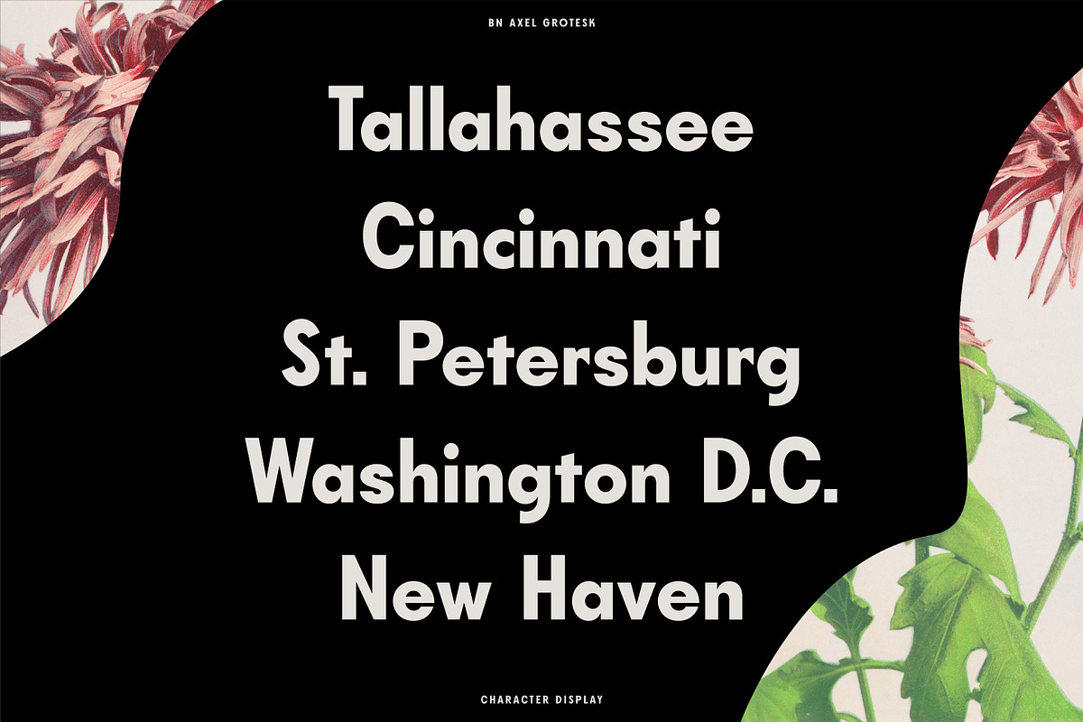 Axel Grotesk - A Sans Serif Typeface, a Sans Serif Font by Bnick