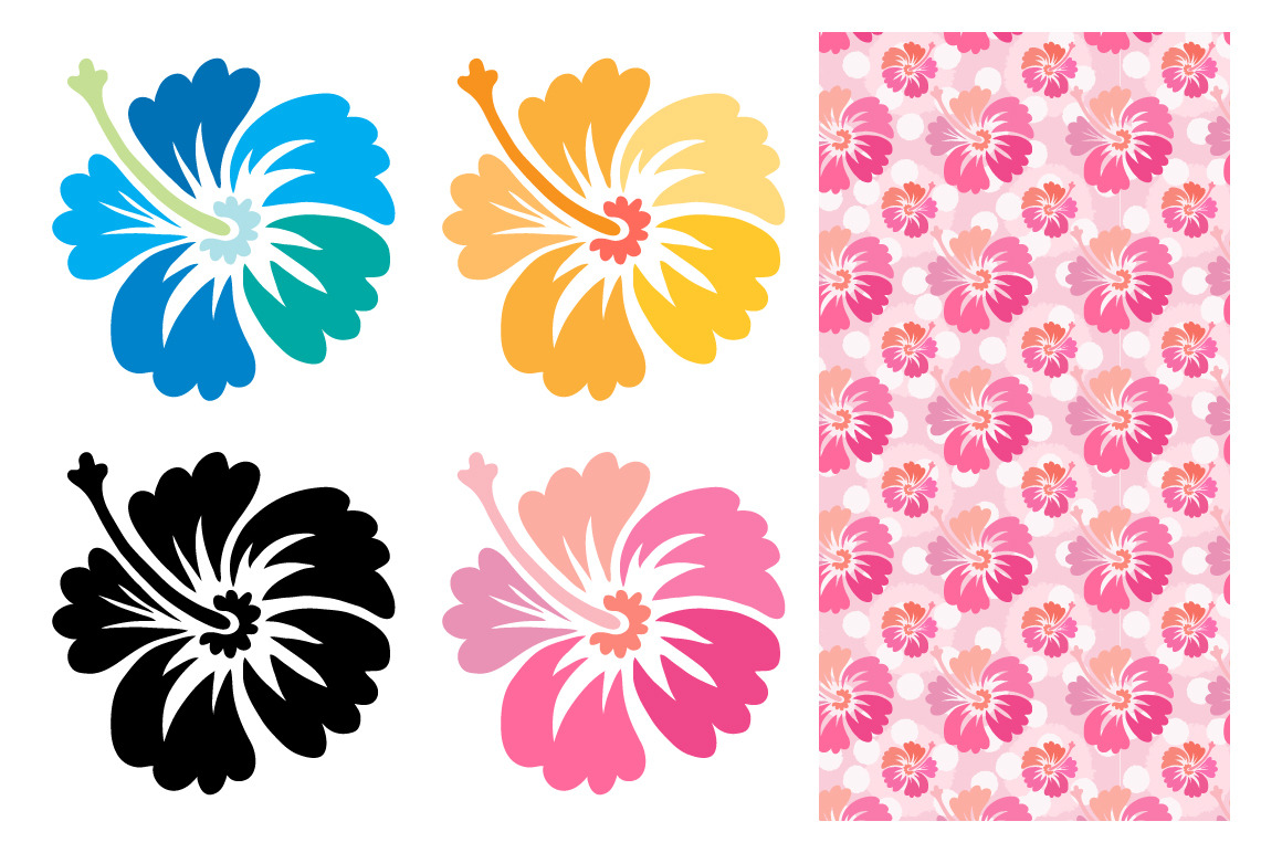 Hibiscus flower and patterns, an Illustration by natsa