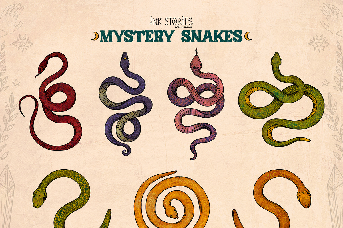 Mystery Snakes, an Animal Illustration by Ink Stories