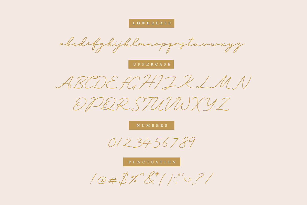 Lolita Script Font, a Script Font by Design Pixie