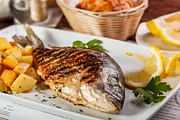 Dorado fish featuring aurata, bream, and dinner, a Food & Drink Photo ...
