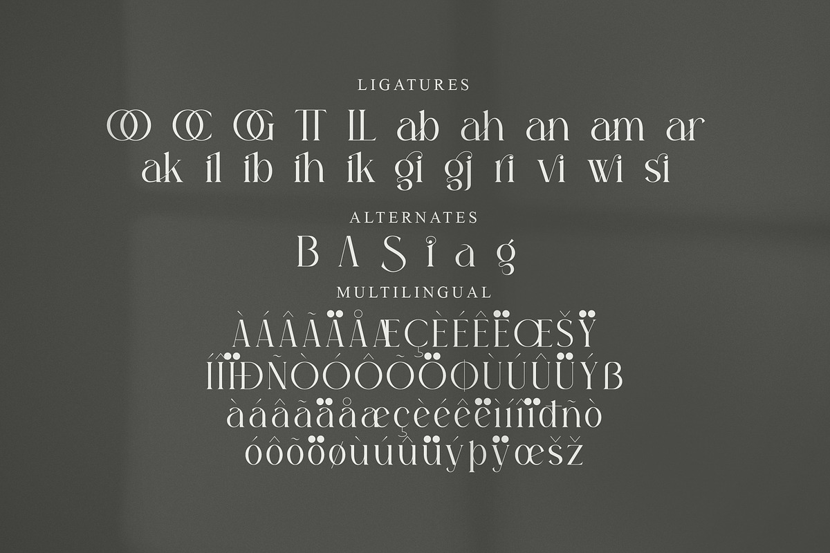Sagire Modern Serif Font, a Serif Font by Storytype Studio