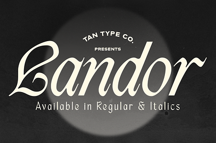 TanType A Creative Market Shop | tan font, tan fonts, tan type