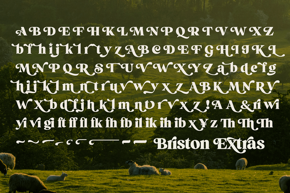 Briston Serif, a Serif Font by Fenotype