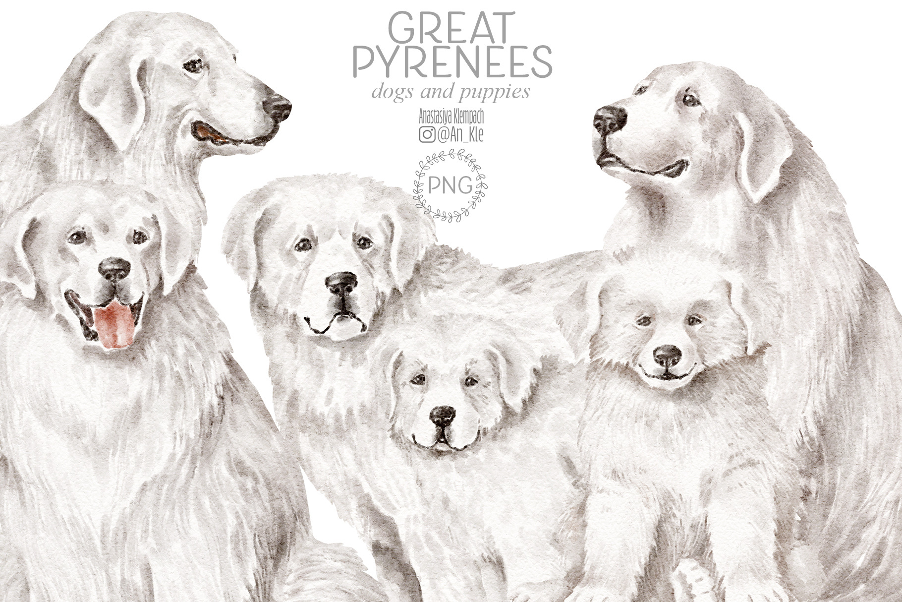 Great Pyrenees dogs, an Animal Illustration by An_Kle 2
