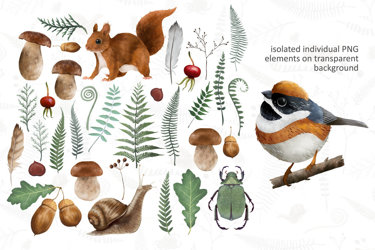 Forest life. Illustration set