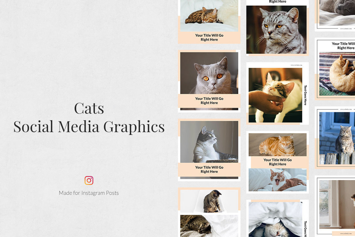 Cats Instagram Posts, a Social Media Template by Social Corner Graphics