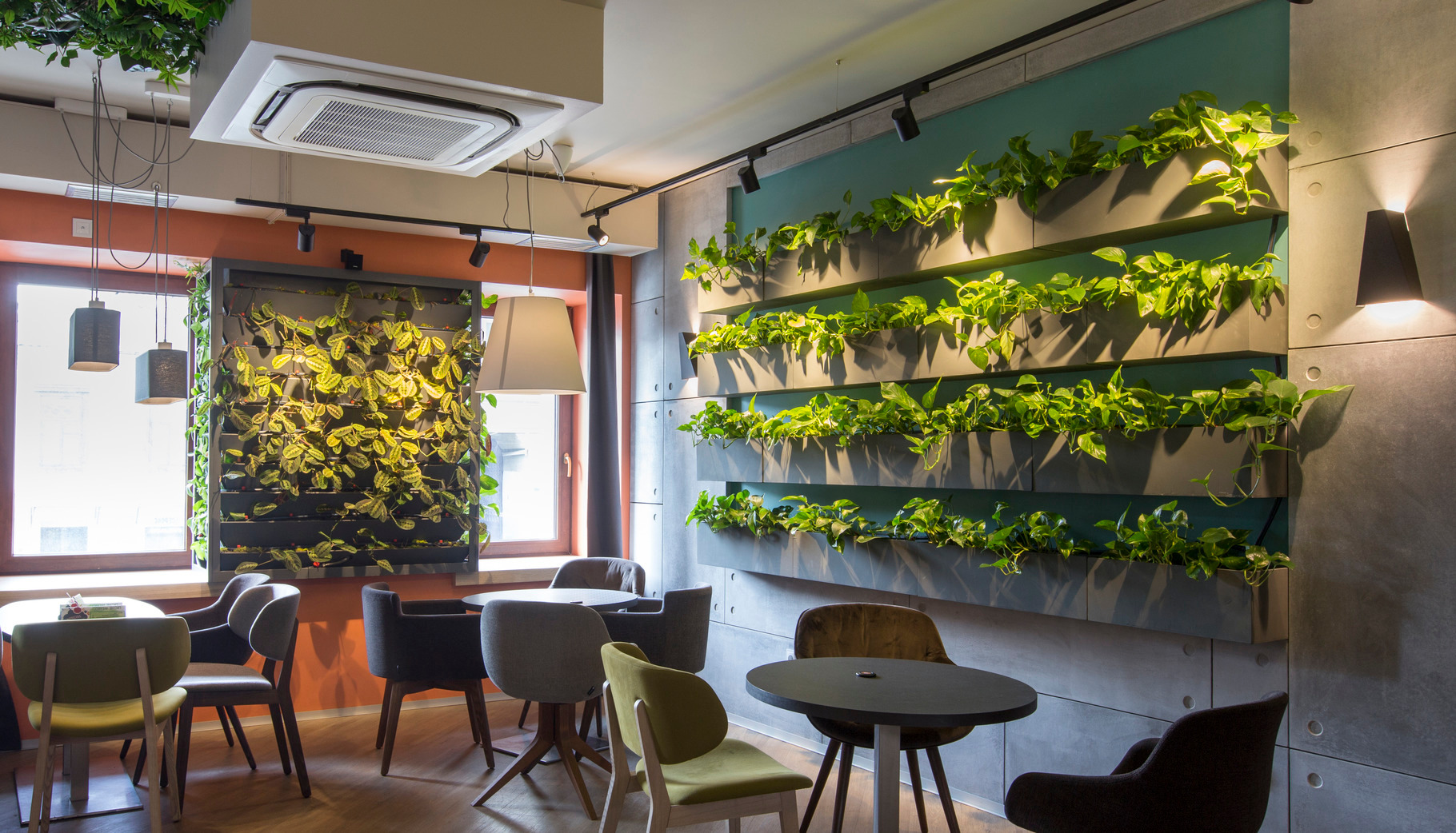 Living wall plant decoration shelves, a Background Photo by Prostock-Studio