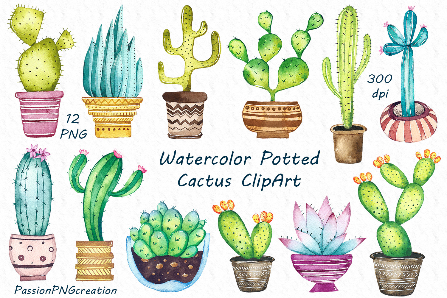 Watercolor potted cactus clipart | Illustrations ~ Creative Market