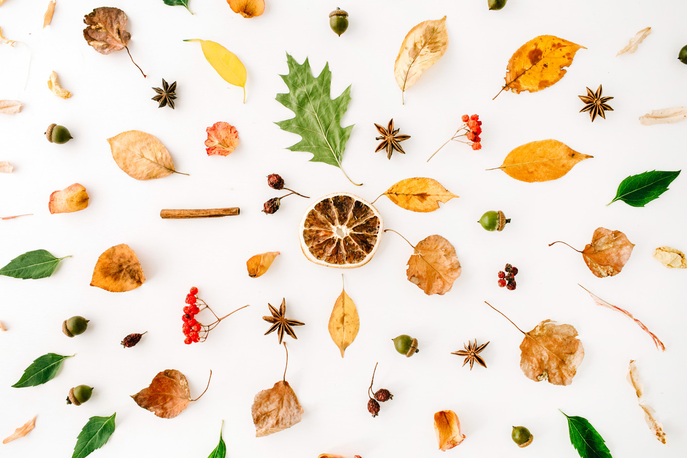 Fall flat lay leaf pattern, an Arts & Entertainment Photo by Floral Deco