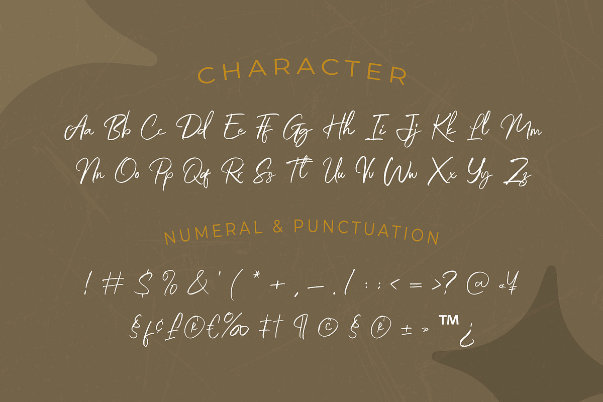 Arwen - Script Handwritten, a Script Font by Lettermine