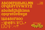 Thunky - Chunky Retro Typeface, a Serif Font by Pandeka Studio