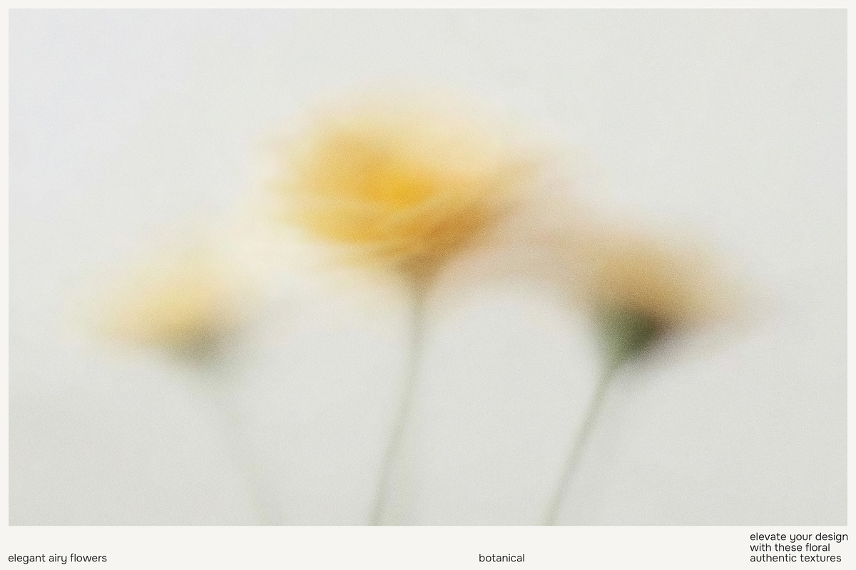 FLORET Blur Flower Backgrounds