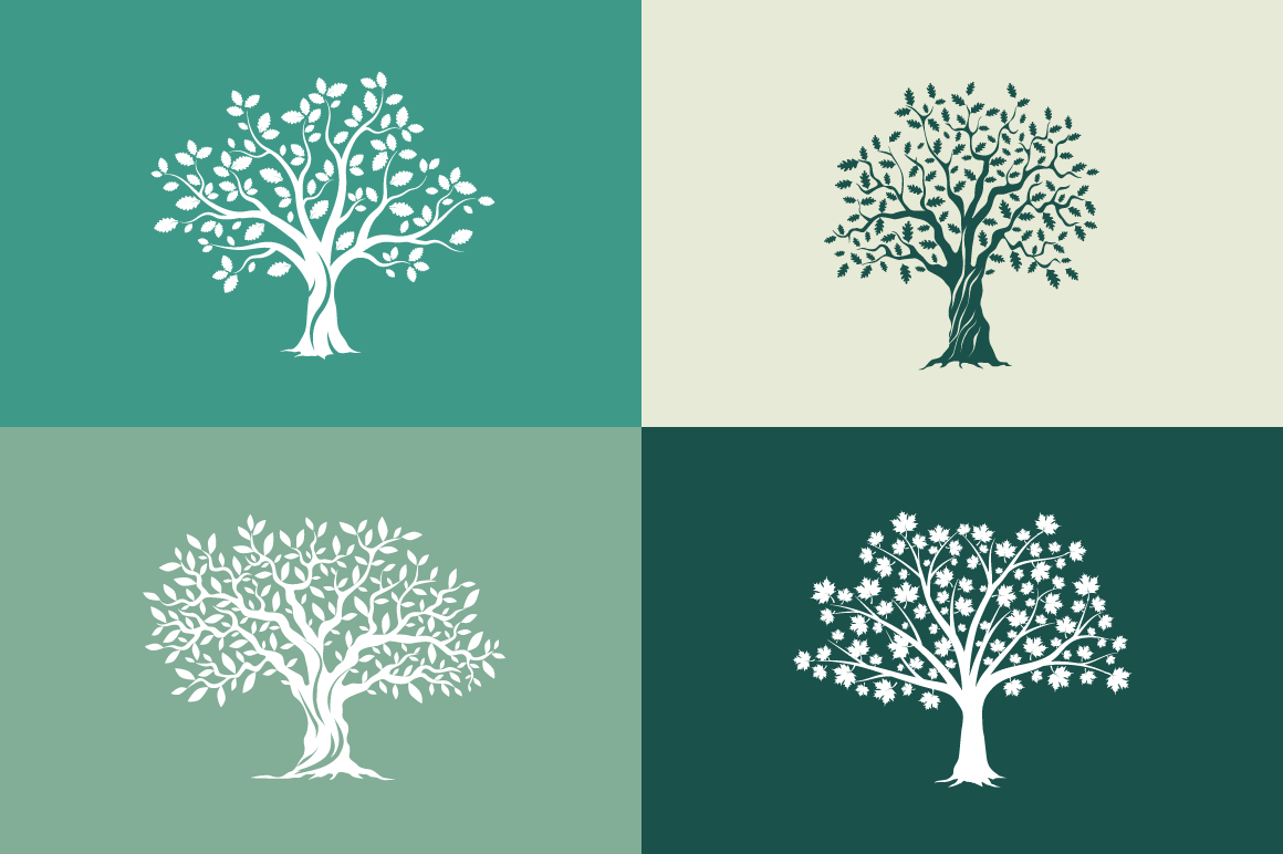 Oak and olive trees set, an Object Graphic by provector