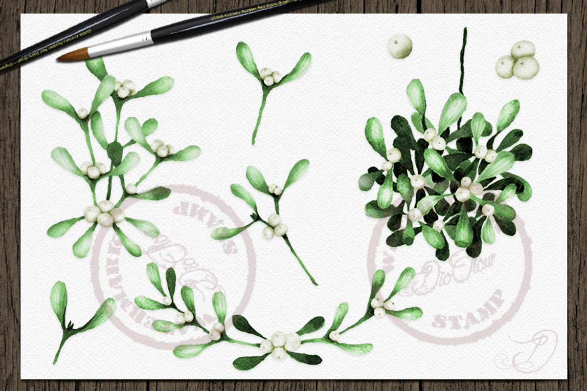 Mistletoe Watercolor Clip Art, a Decorative Illustration by DioFlow
