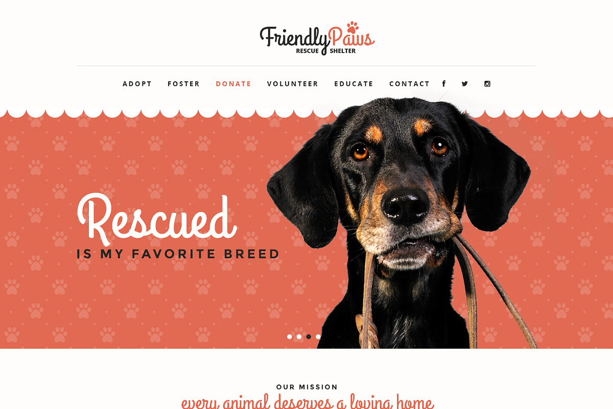 Friendly Paws - Shelter PSD template, a Websites & App Template by Mage ...