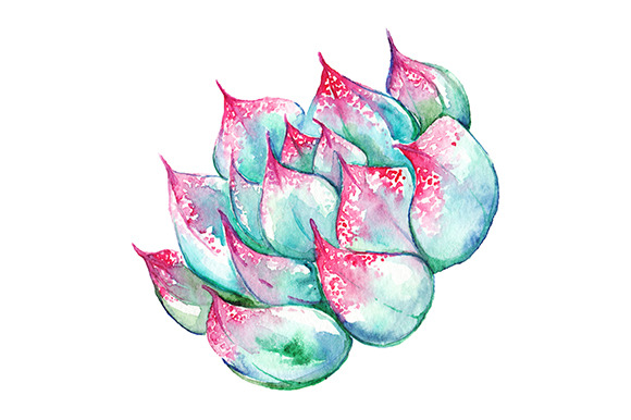 Watercolor succulent hand drawn art, a Decorative Illustration by Art ...