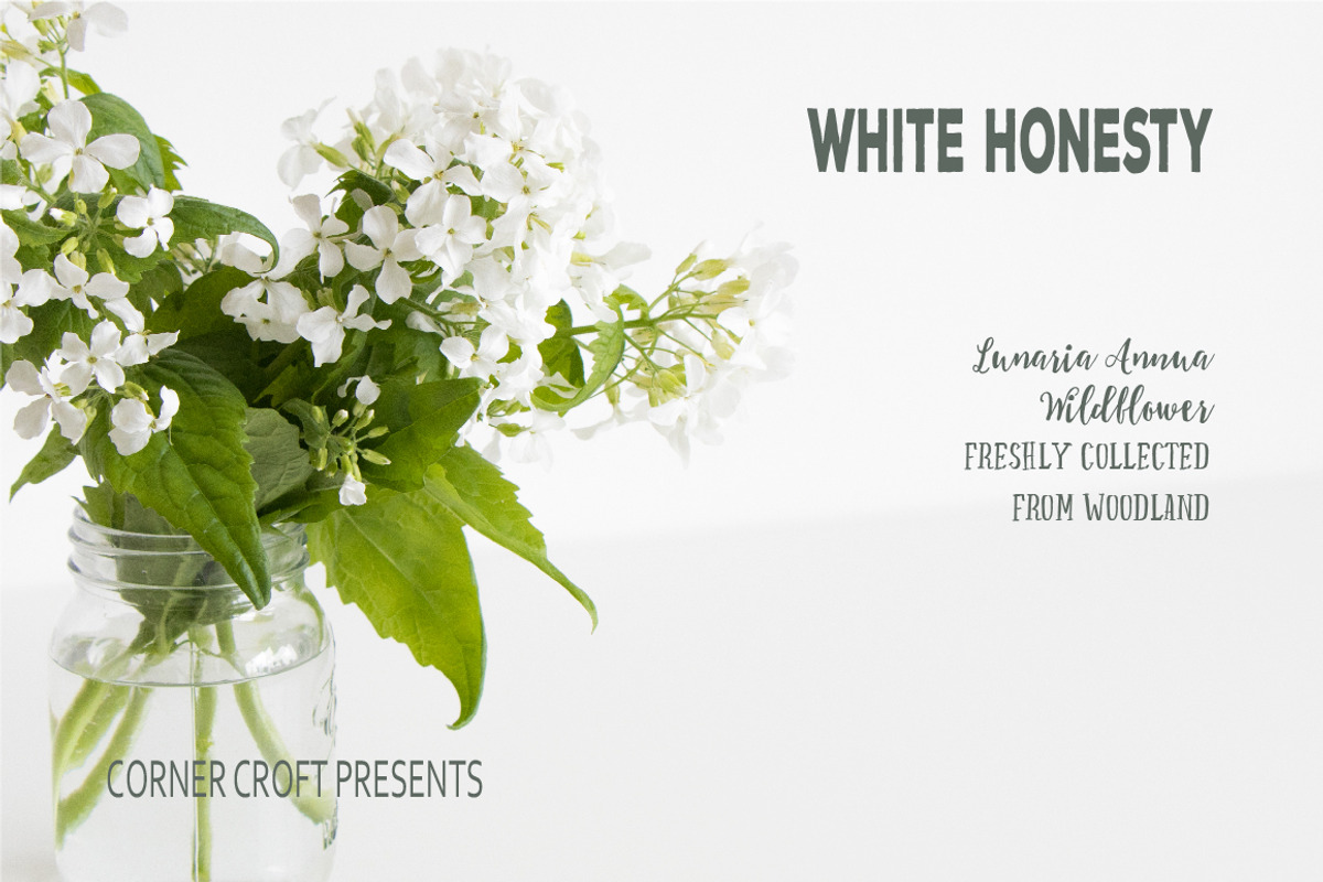 White Honesty Stock Photo Bundle, a Cups & Container Mockup by Corner ...