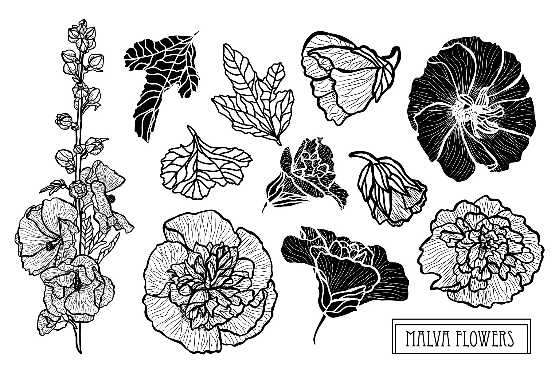 Malva Flowers Set, a Decorative Illustration by Sunset&Sea Design