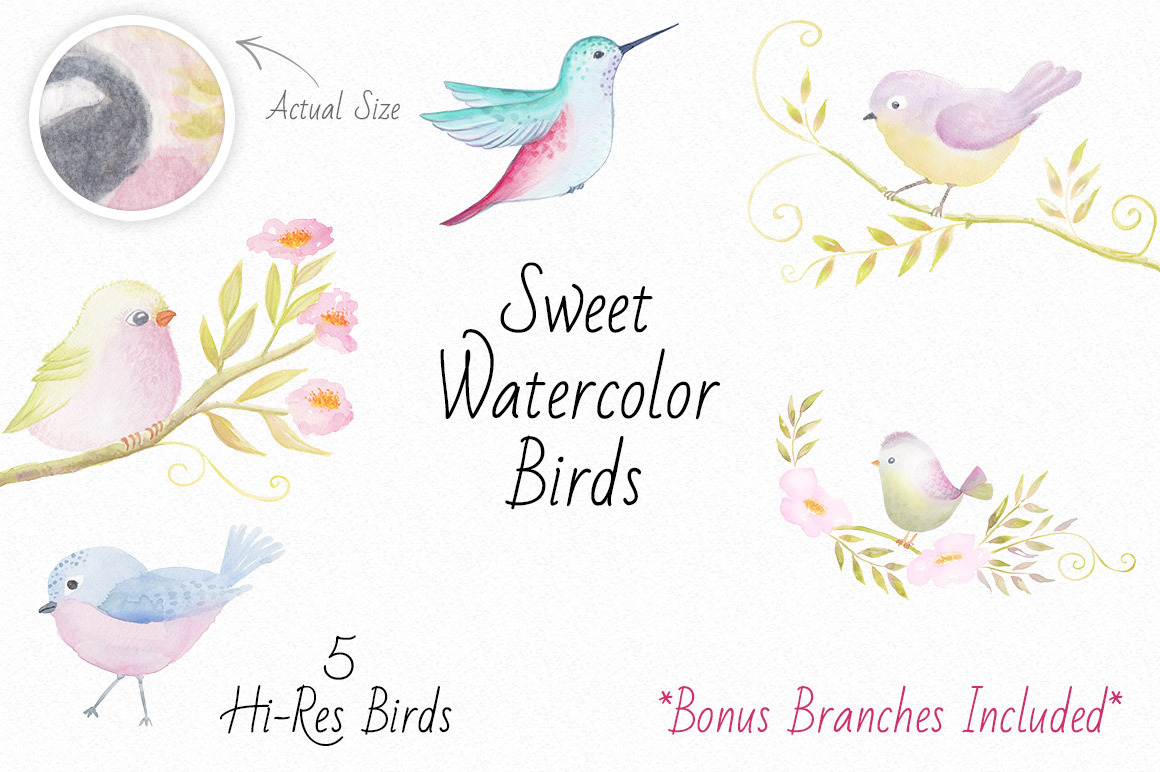Sweet Watercolor Birds, an Illustration by BakerWebDev