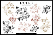 Echo Modern Botanicals Collection, a Decorative Illustration by ...
