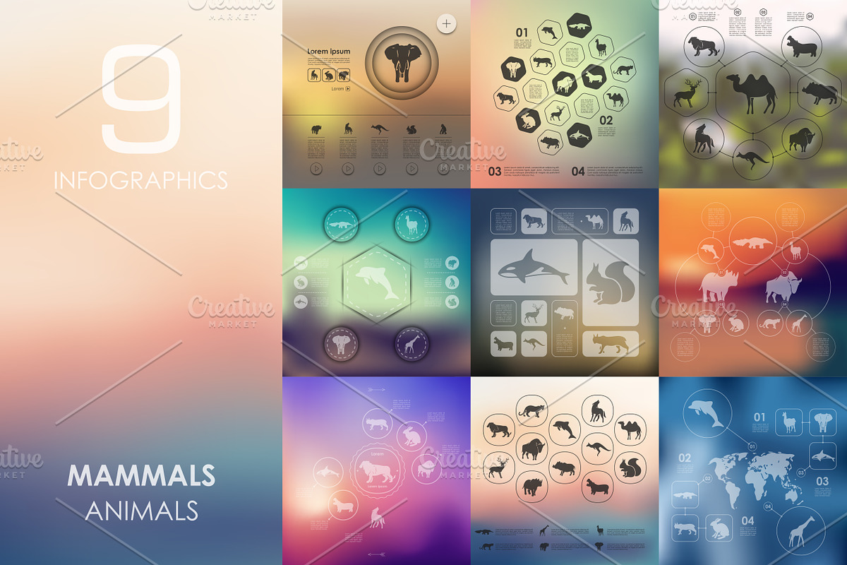 9 mammals infographics, a Presentation Template by Palau
