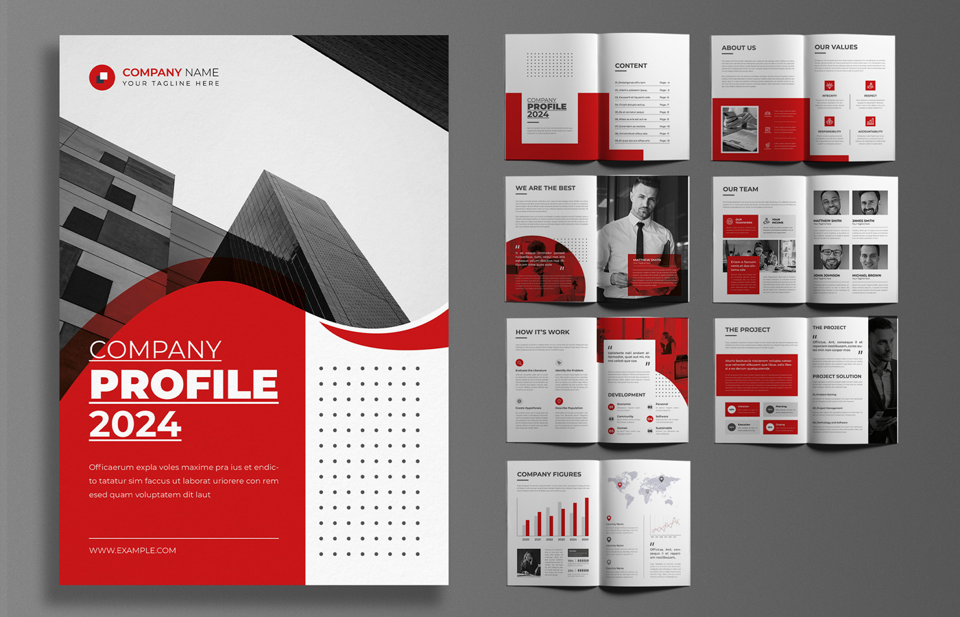 Company Profile 2024 Template
