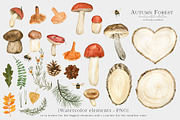 Fall forest mushrooms clipart, an Illustration by WatercolorWind