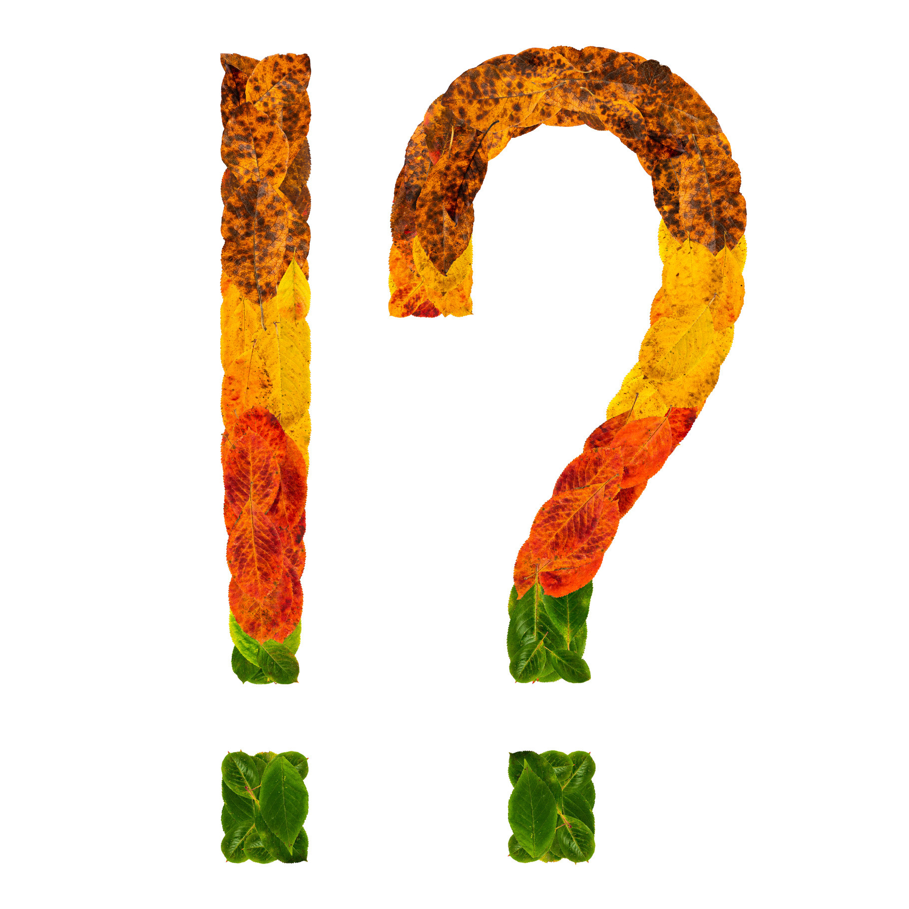 Autumn leaves bright letter. Exclamation mark, interrogative symbol ...