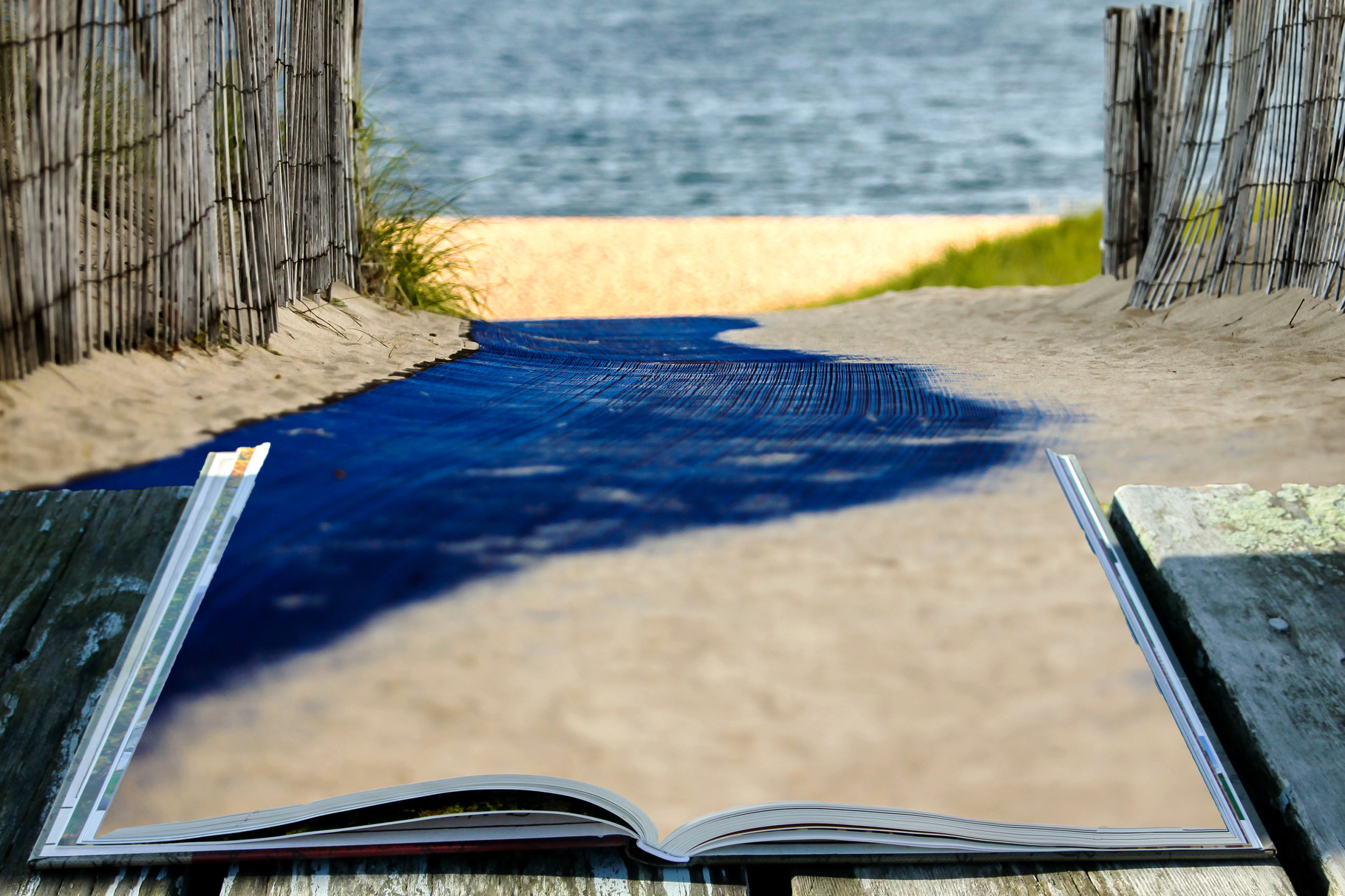 Open book with walkway to beach | Background Stock Photos ~ Creative Market