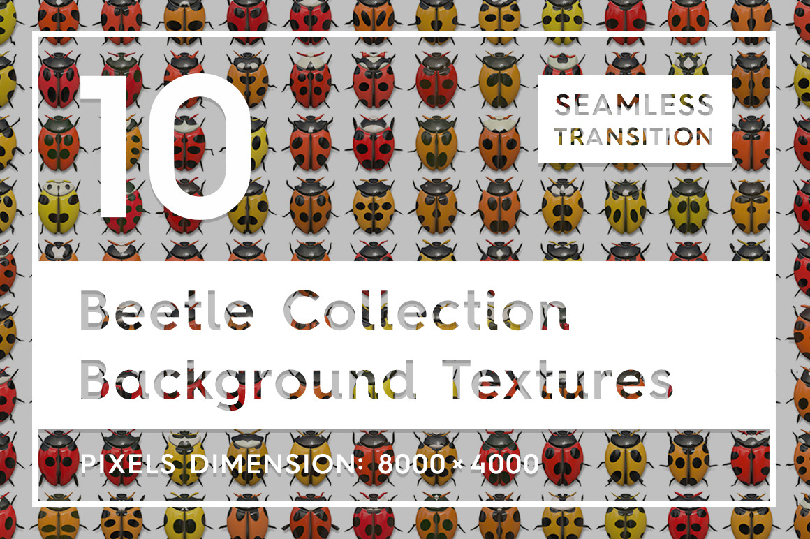 10 Beetle Collection Backgrounds, a Texture Graphic by Textures ...