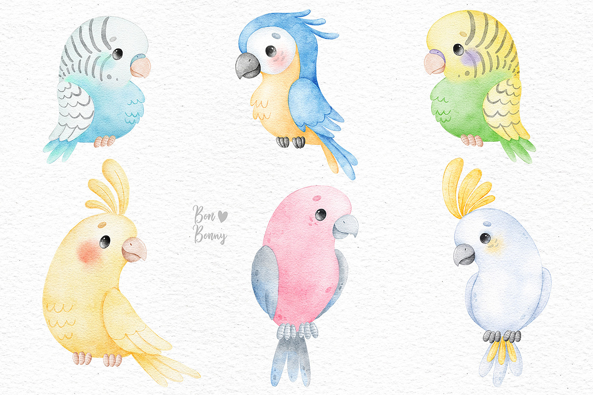 Cute Watercolor Parrots Clipart, an Animal Illustration by BonbonnyDesigns