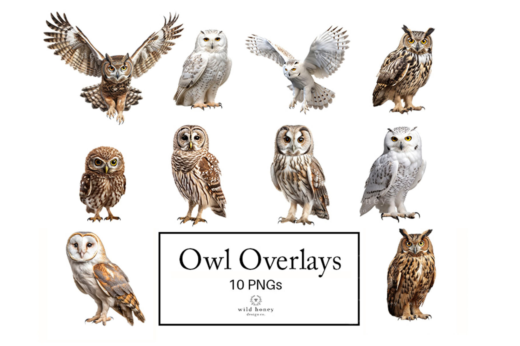 Owl Overlays, 10 PNGs, a Layer Style Add-On by Wild Honey Design Co ...