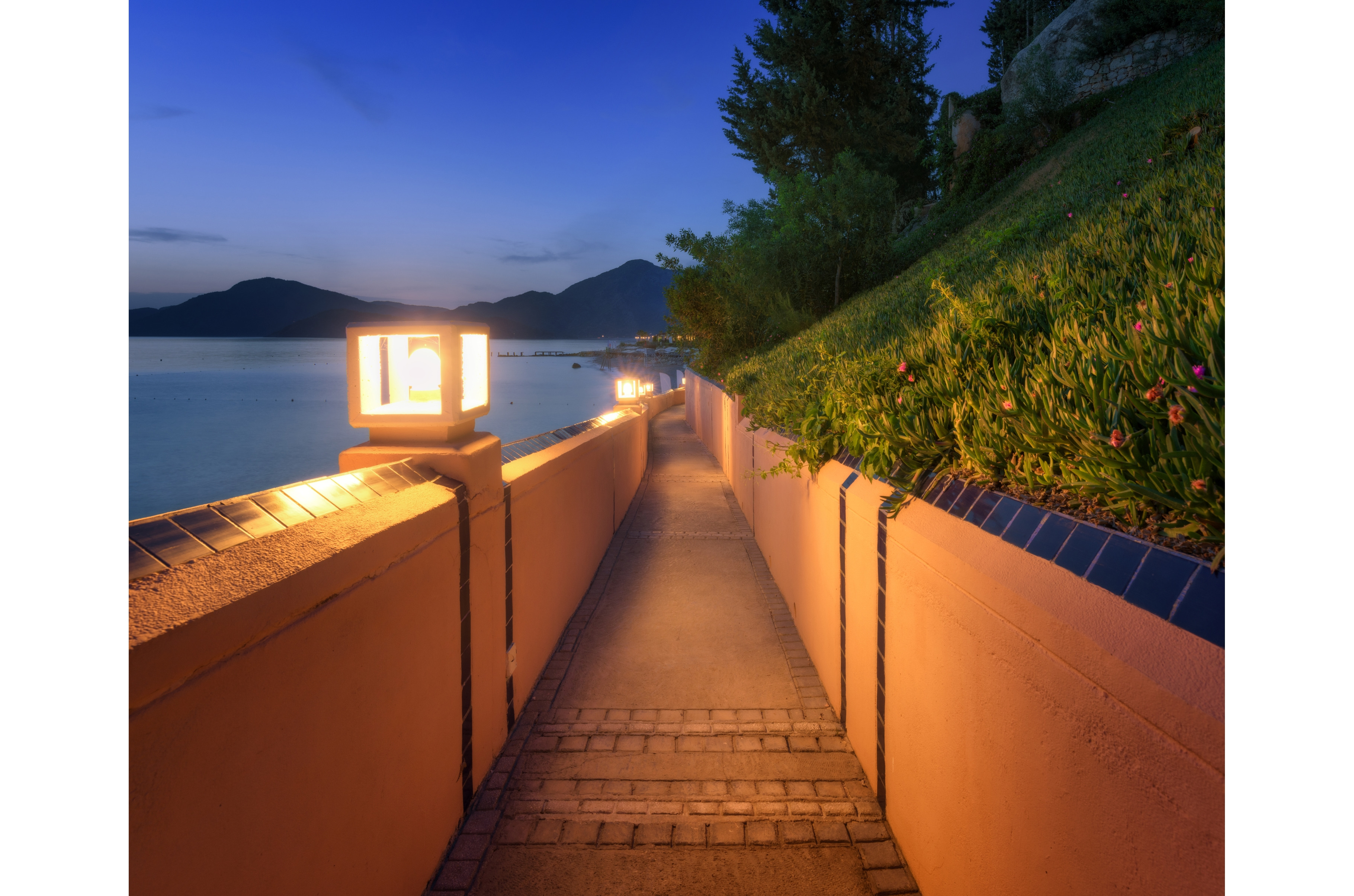 Amazing path with street lights on, an Architecture Photo by den-belitsky