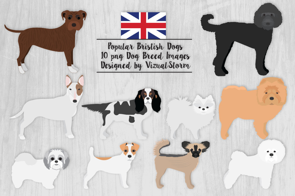 British Dog Breeds Clipart Graphics, an Animal Illustration by VizualStorm