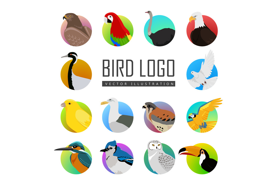 Set of Bird Logo Vector Illustration, an Animal Illustration by robuart