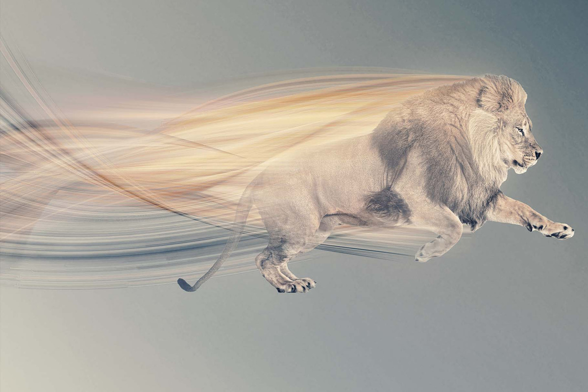 Light Trails Effect Photoshop Action, an Action Add-On by MRI STUDIO