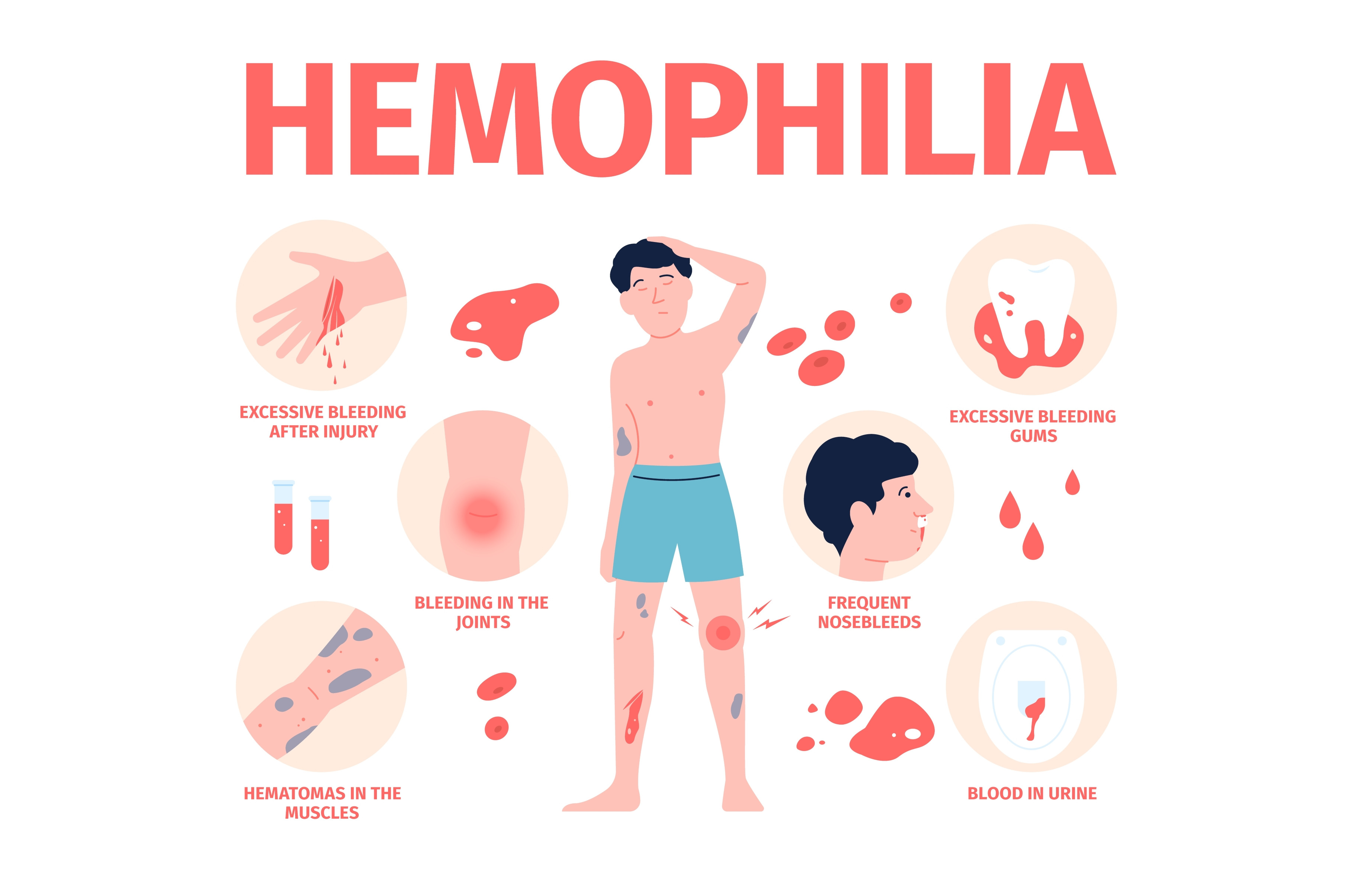 Hemophilia symptoms. Medical poster, a Graphic by LadadikArt