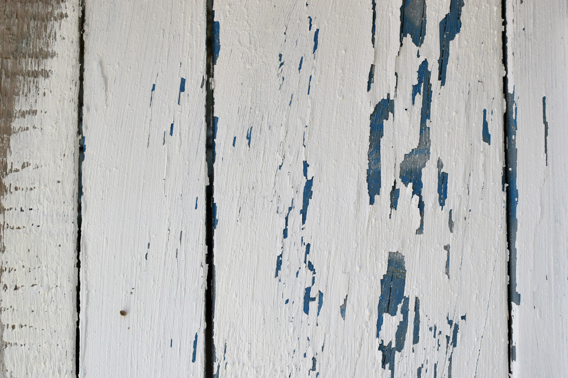 Wood Texture Paint, an Abstract Photo by sirylok