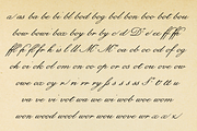Botanical Scribe, a neat old pen font.