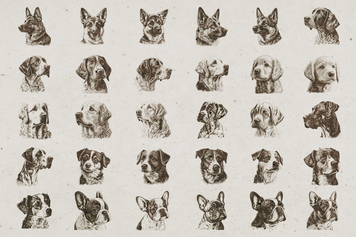 52 dog breed 194 portrait illustration