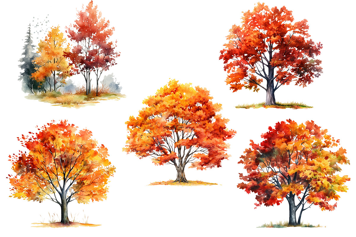 Watercolor digital tree clipart png, an Object Graphic by ...