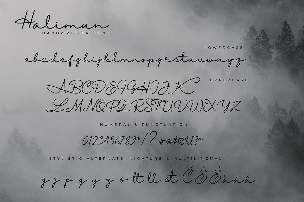 Halimun Script Style, a Script Font by Creatype Studio